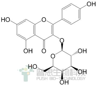 普思生物|三叶豆苷|CAS:23627-87-4